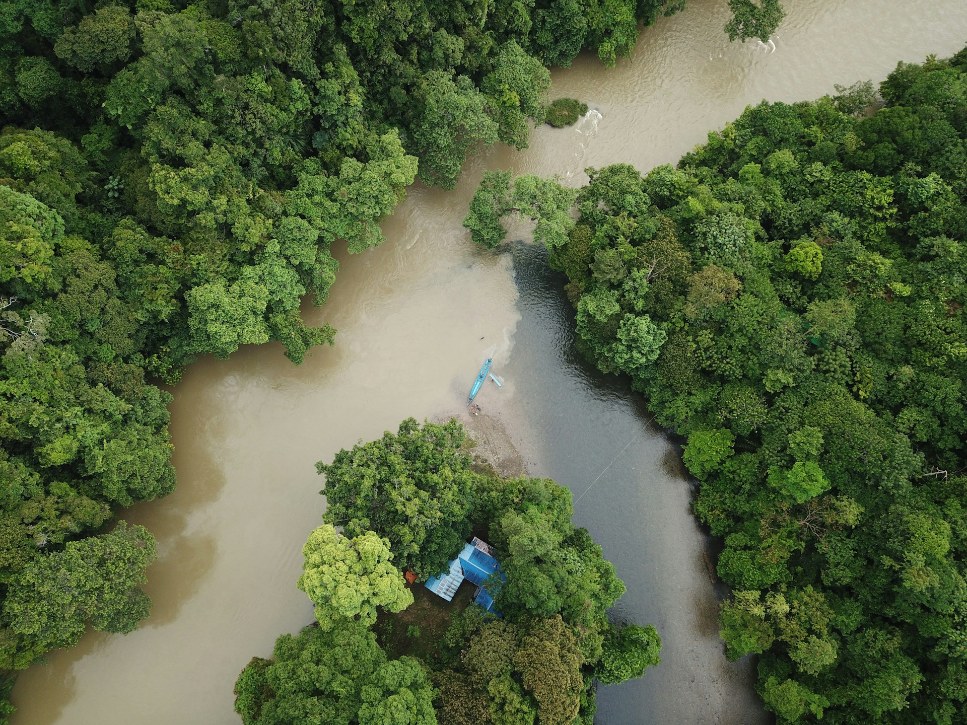 Hutan Hujan Tropis di Indonesia, Pengertian, Ciri-ciri, dan Lokasinya ...